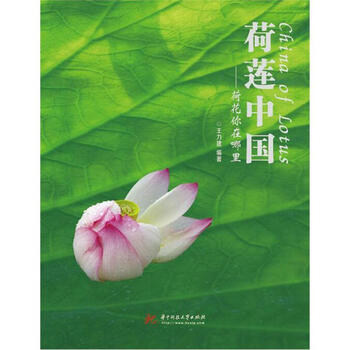 荷莲中国:荷花你在哪里王力建华中科技大学出版社9787568016179 摄影书籍