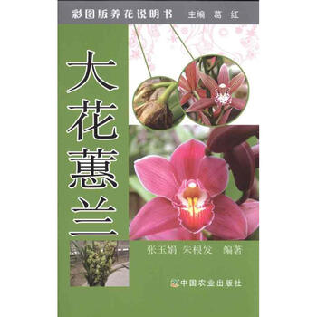 大花蕙兰 张玉娟 等 作 书籍