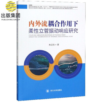 内外流耦合作用下柔性立管振动响应研究
