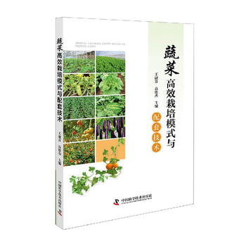 蔬菜栽培模式与配套技术 农业/林业   图书