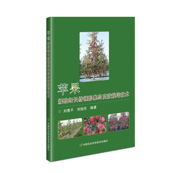 苹果矮砧细长纺锤形集约高效栽培技术
