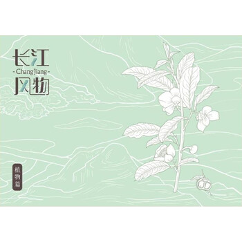 【自选】长江风物系列明信片 主题套装创意明信片 一套12张 上海科技教育出版社 植物篇