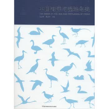 中国中国海洋与湿地鸟类