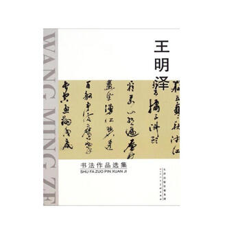包邮：王明泽书法作品选集 书法   图书