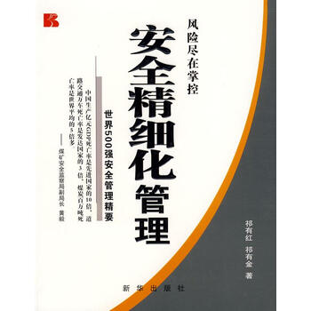 安全精细化管理:世界500强安全管理精要 祁有红【正版书】
