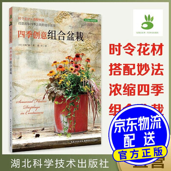 四季创意组合盆栽