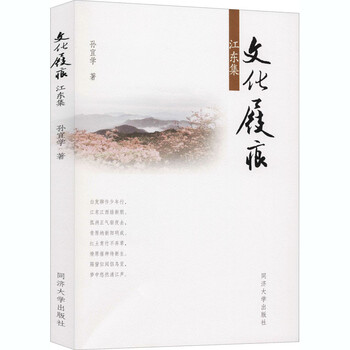 文化屐痕 江东集 孙宜学  书籍