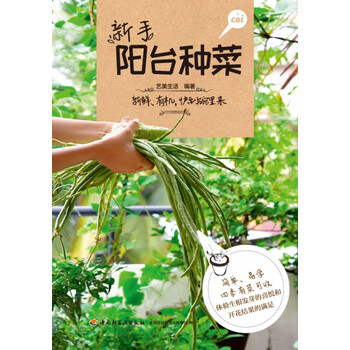新手阳台种菜