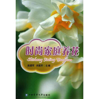 时尚家庭养花
