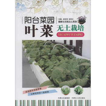 叶菜无土栽培