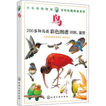 鸟