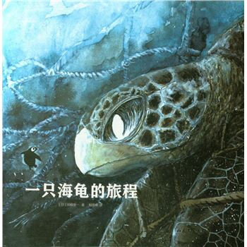 一只海龟的旅程