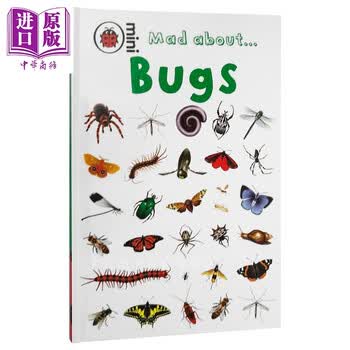 Mad About Bugs 精装 洞穴昆虫 动物科普 幼儿启蒙