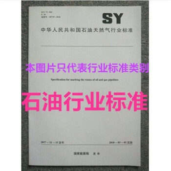 SY/T 4109-2020 石油天然气钢质管道无损检测