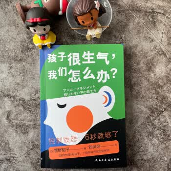 很生气，怎么办？ 菅野昭子 民主与建设出版社 9787513931540
