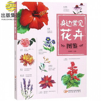 身边常见花卉图鉴