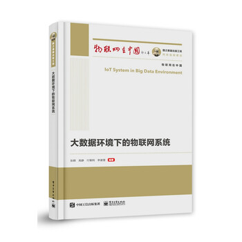 国之重器出版工程 大数据环境下的物联网系统