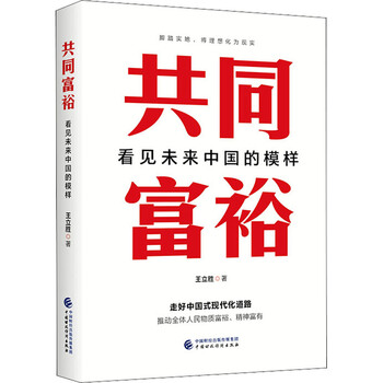 共同富裕 看见未来中国的模样 图书