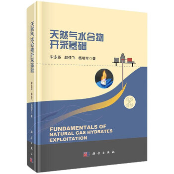 天然气水合物开采基础(精)