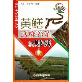 黄鳝这样养殖就赚钱