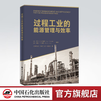 【旗舰店】过程工业的能源管理与效率 石油化工过程工业能耗基准能源管理标准工业能效技术加热炉锅炉能效