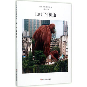 中国当代摄影图录柳迪