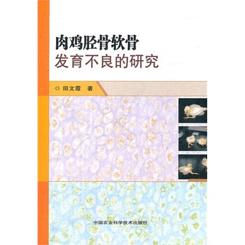 肉鸡胫骨软骨发育不良研究 9787511607867 田文霞　著 中国农业科学技术出版社