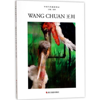 中国当代摄影图录王川 刘铮 主编 书籍