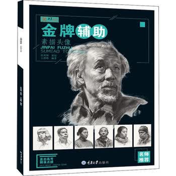 金牌辅助 素描头像 王湛峰  书籍