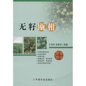 无籽瓯柑