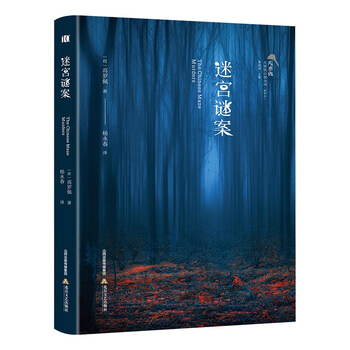 迷宫谜案