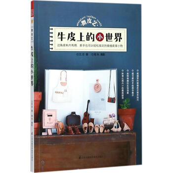 微皮艺 沈洁  书籍