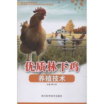 优质林下鸡养殖技术