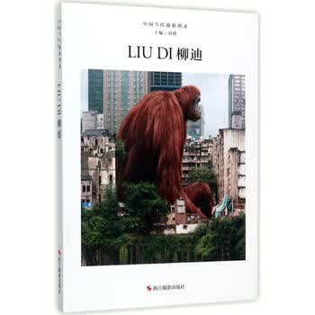 中国当代摄影图录柳迪 刘铮 主编 书籍
