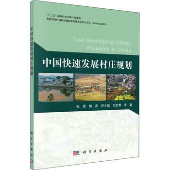 中国快速发展村规划