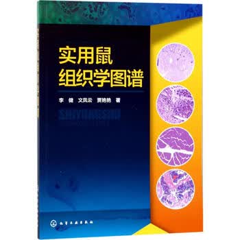 实用鼠组织学图谱