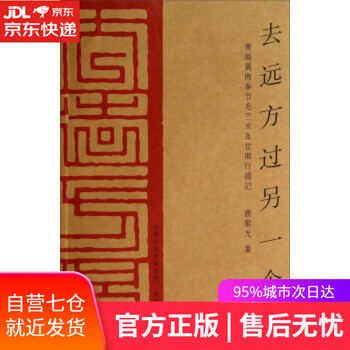 【正版图书】去远方过另一个年 裴黎光 著 书海出版社