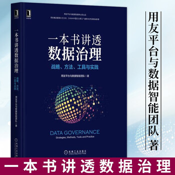 一本书讲透数据治理：战略、方法、工具与实践 机械工业出版社 计算机与互联网 大数据与云计算 用友平台与数据智能团队