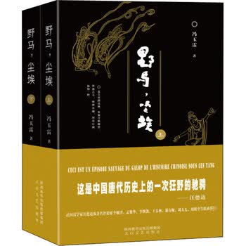 野马,尘埃(全2册) 冯玉雷 著 历史、军事小说