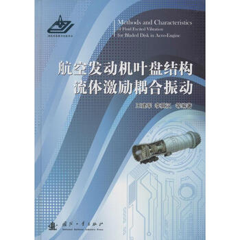航空发动机叶盘结构流体激励耦合振动