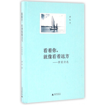 看着你就像看着远方--黄锐诗选(精)