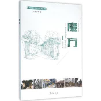 魔方 王学文 等  书籍