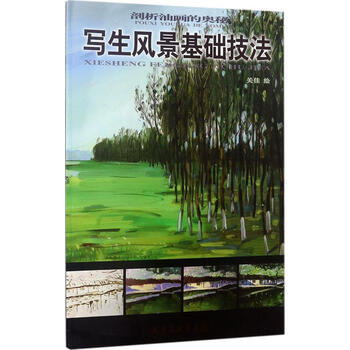 包邮：剖析油画的奥秘:写生风景基础技法 绘画 油画技法  图书