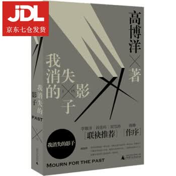 我消失的影子 高博洋 著 9787559833112