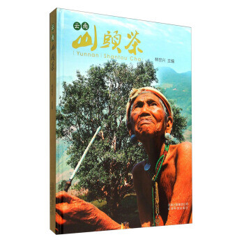 云南山头茶 【正版书】