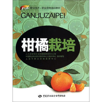 柑橘栽培