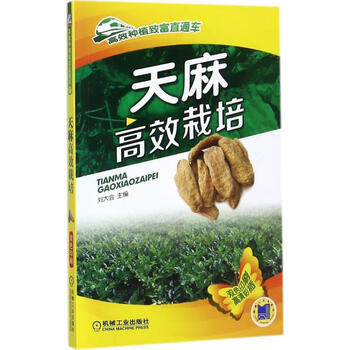 天麻高效栽培
