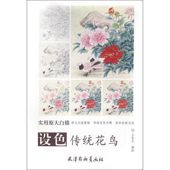 设色传统花鸟 王金才 编绘 书籍