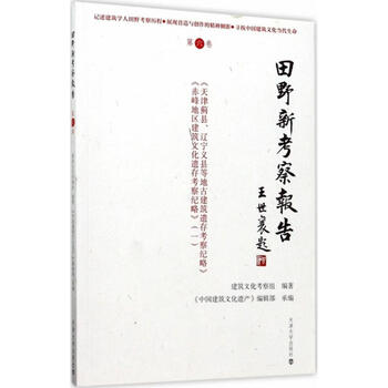田野新考察报告 书籍