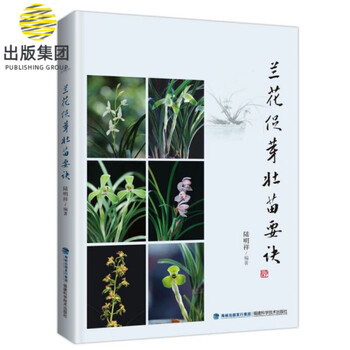 兰花促芽壮苗要诀
